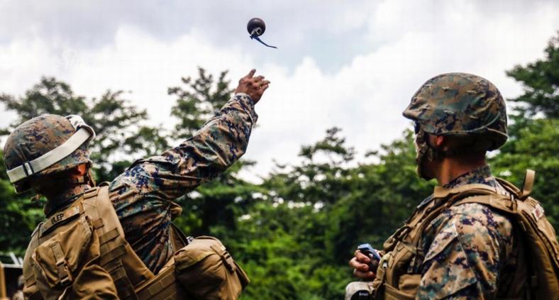 The ignited grenade landed at the foot, should I hide or pick it up at ...