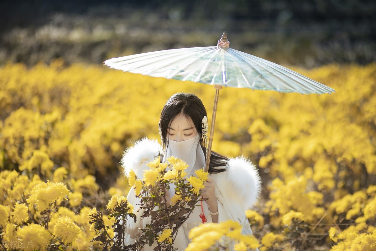 "Zen Wisdom" is the cure for everything - iNEWS