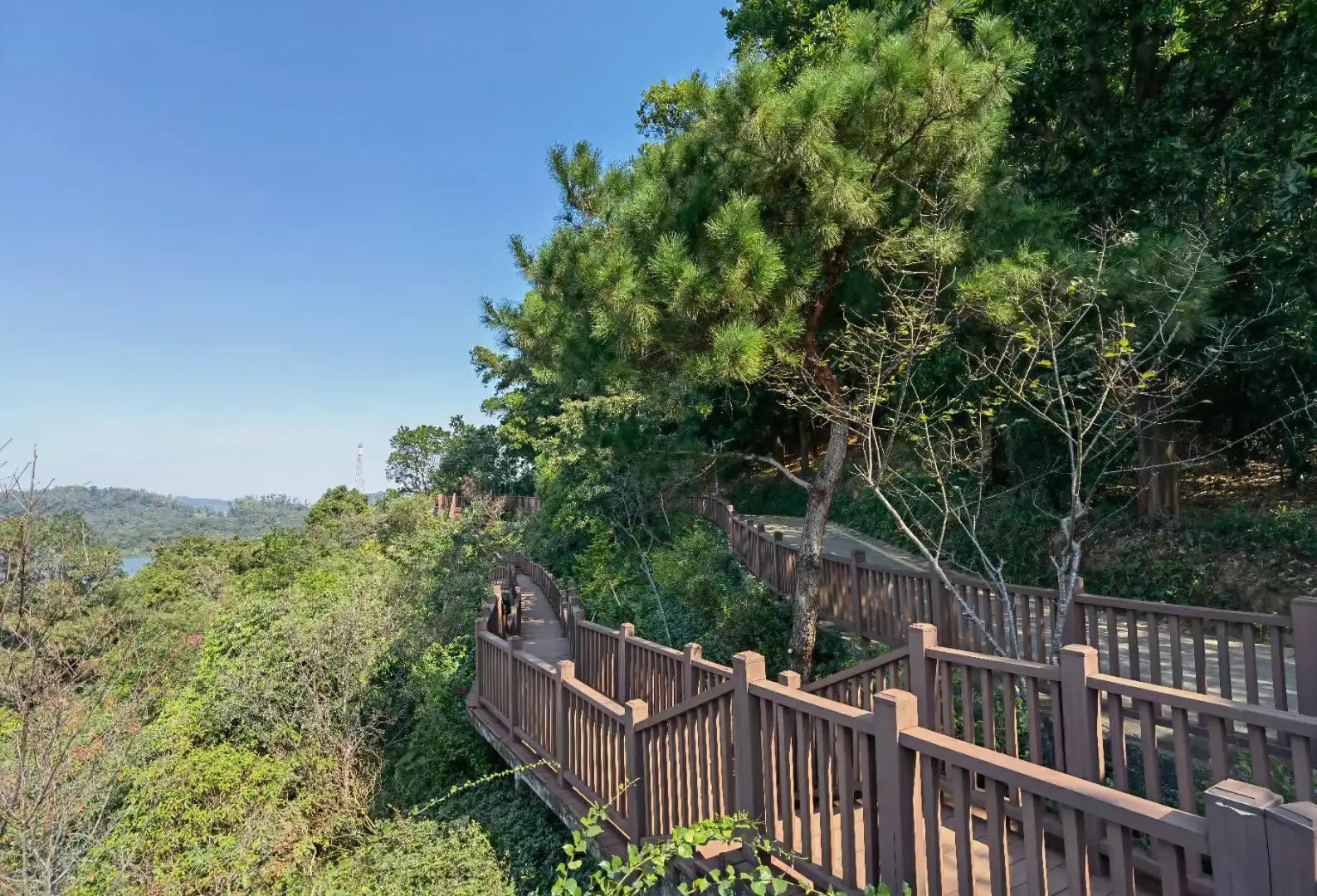 The most beautiful ecological greenway in Shenzhen-Wutong Greenway - iNEWS