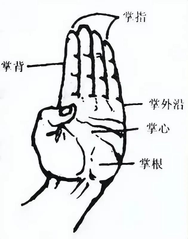 Talking about the Truth Taiji Five Elements Kungfu: Fist, Palm and Hook ...