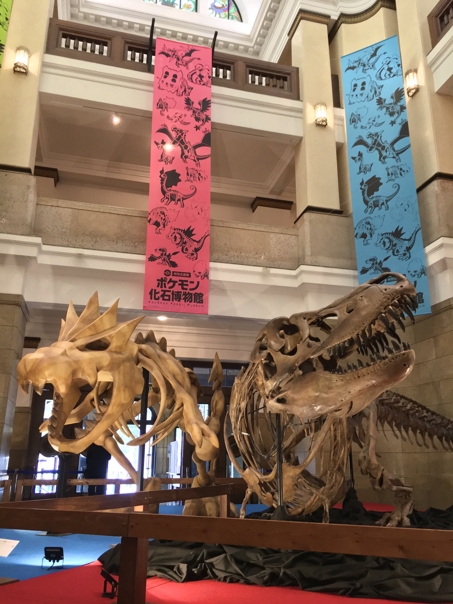 Fossil-loving archaeologists in search of ancient Pokémon heritage ...