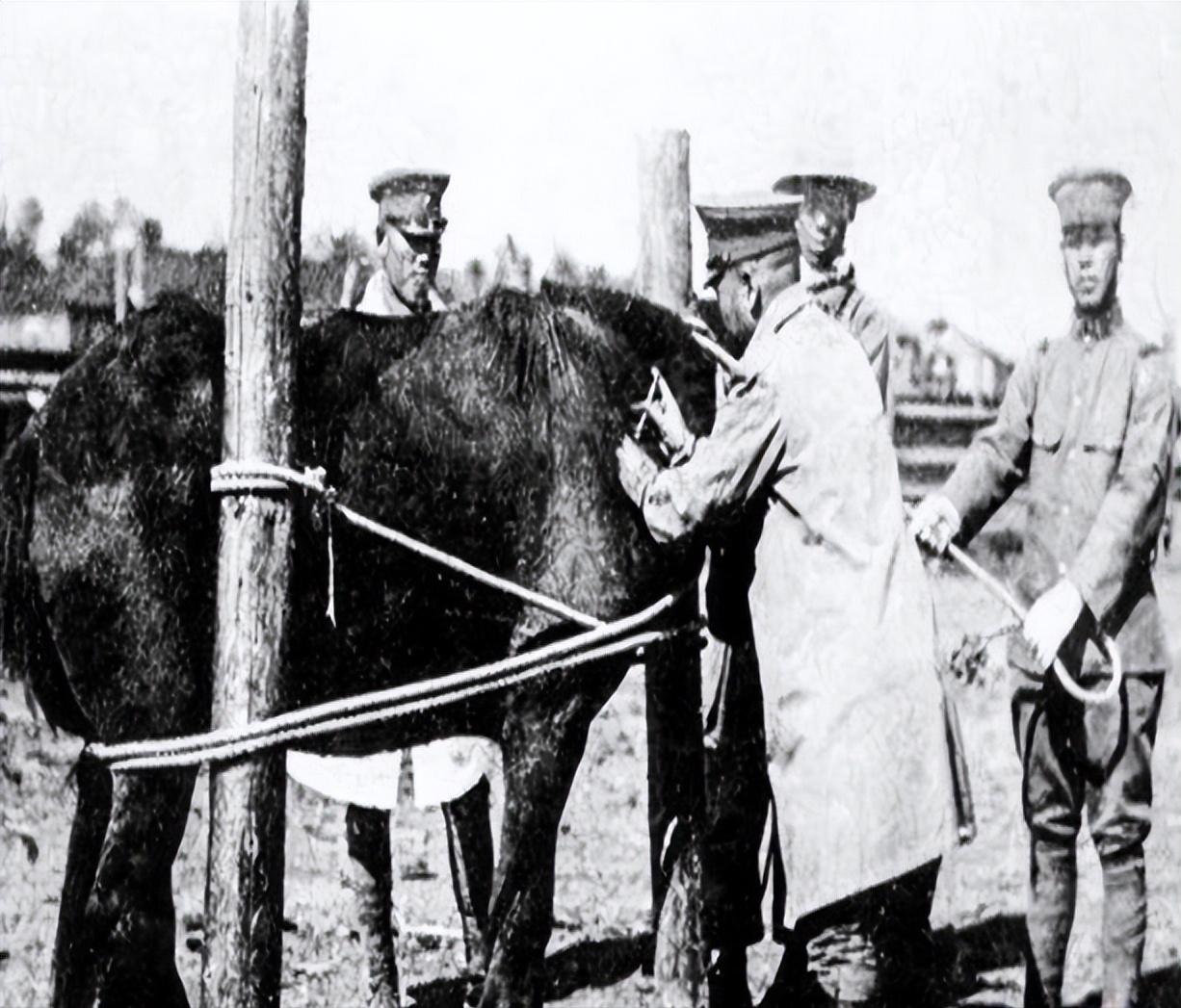 In addition to Unit 731, there is also a notorious unit whose crime is ...