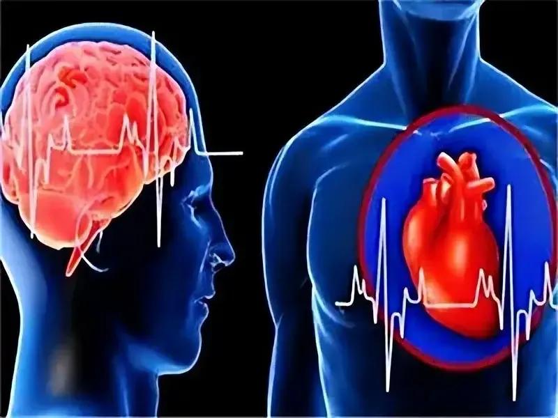 3 medicines promote blood circulation, remove blood stasis and dredge ...