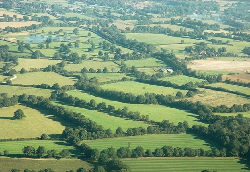 Research on British Land Reform from the Middle of the 19th Century to ...