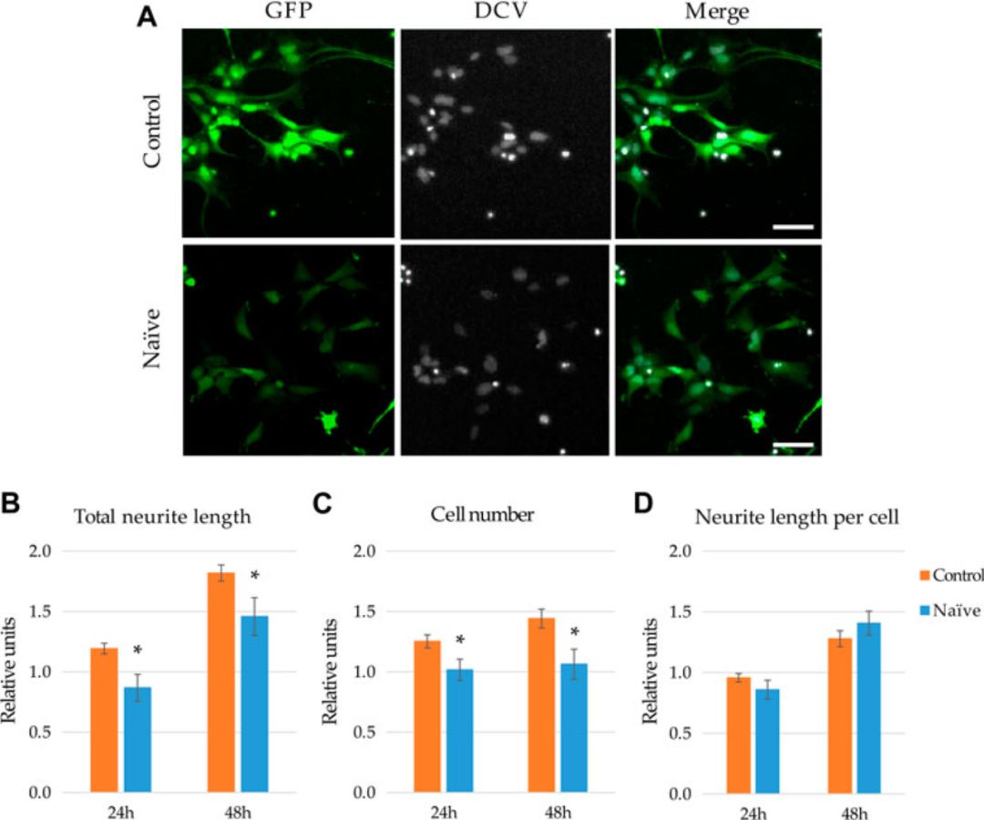 Microglia regulate proliferation, neurite outgrowth, and ...