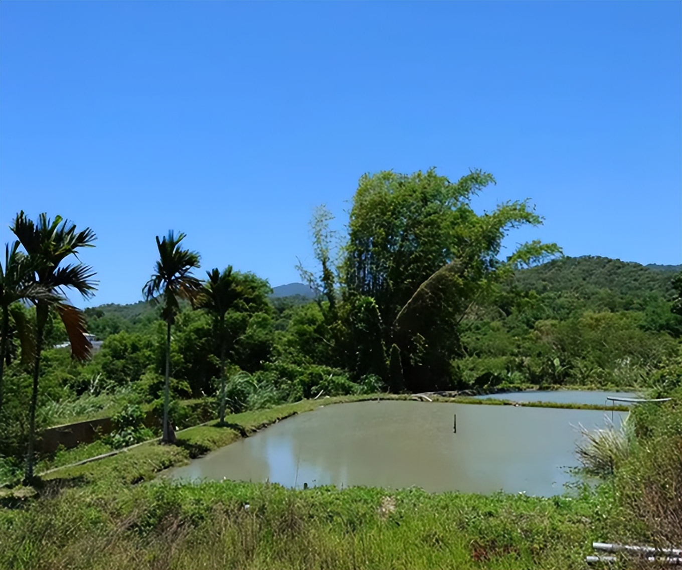 The well-known actor Tian Li returned to the countryside to live ...