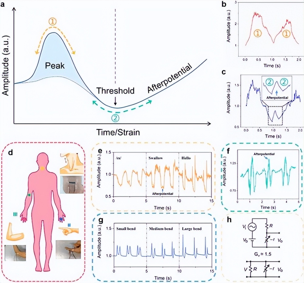 Tsinghua Ren Tianling "ACS nano" Graphene Textile Strain Sensor - iNEWS