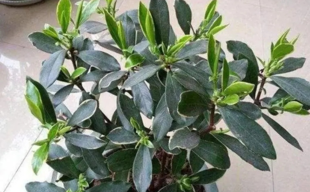 Raise Ruixiang in April, achieve "three more and one less", and grow ...