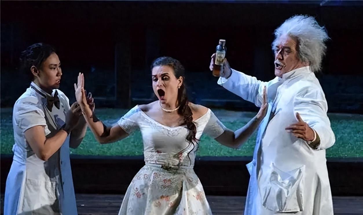 What is the status of Donizetti's comic operas in Italy? What are the ...