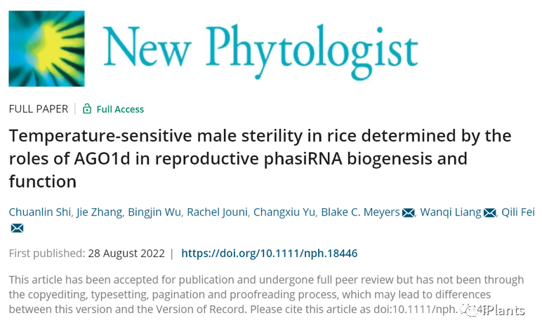 “New Phytol” reveals the mechanism of rice AGO1d regulating thermosensitive male sterility - iNEWS