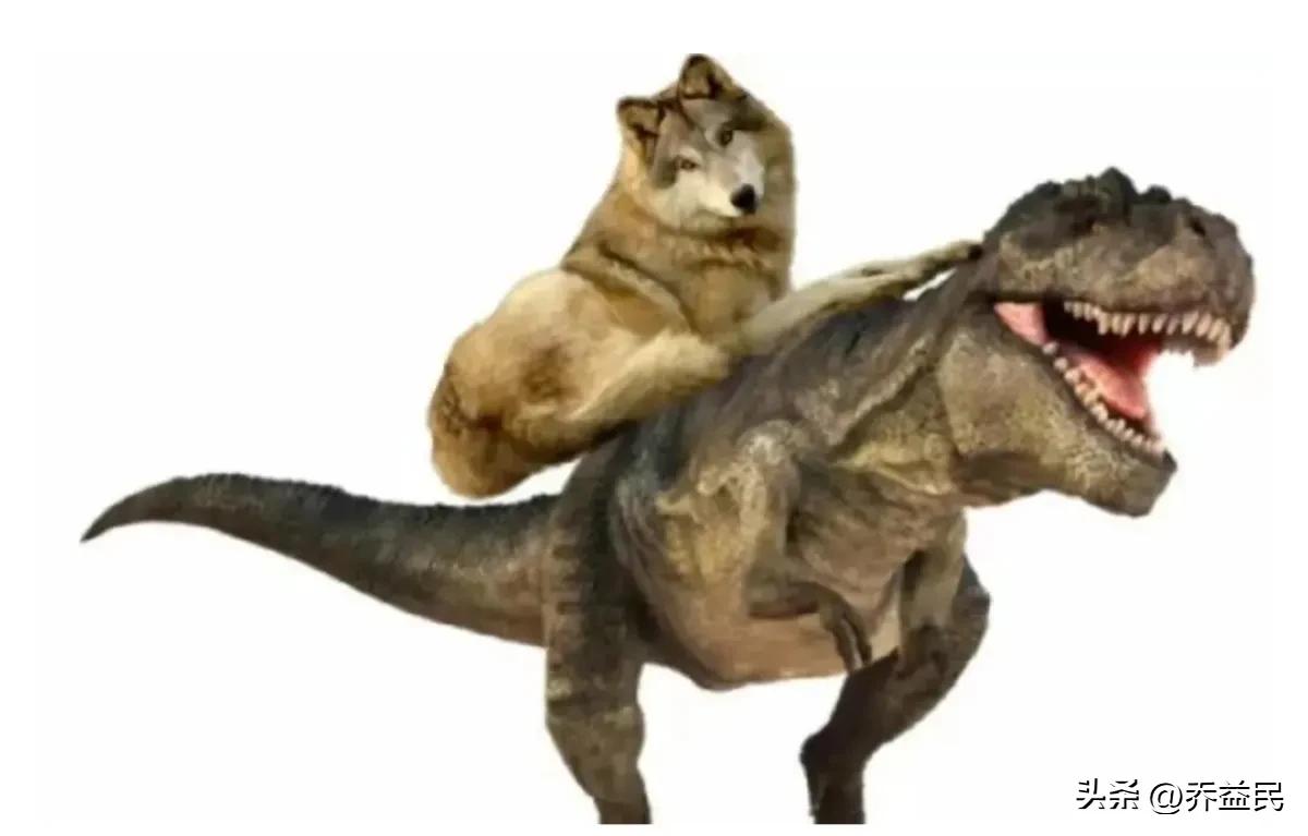 Mahu Matata VS dinosaur carrying wolf, 4 kinds of animals, 2 kinds of ...