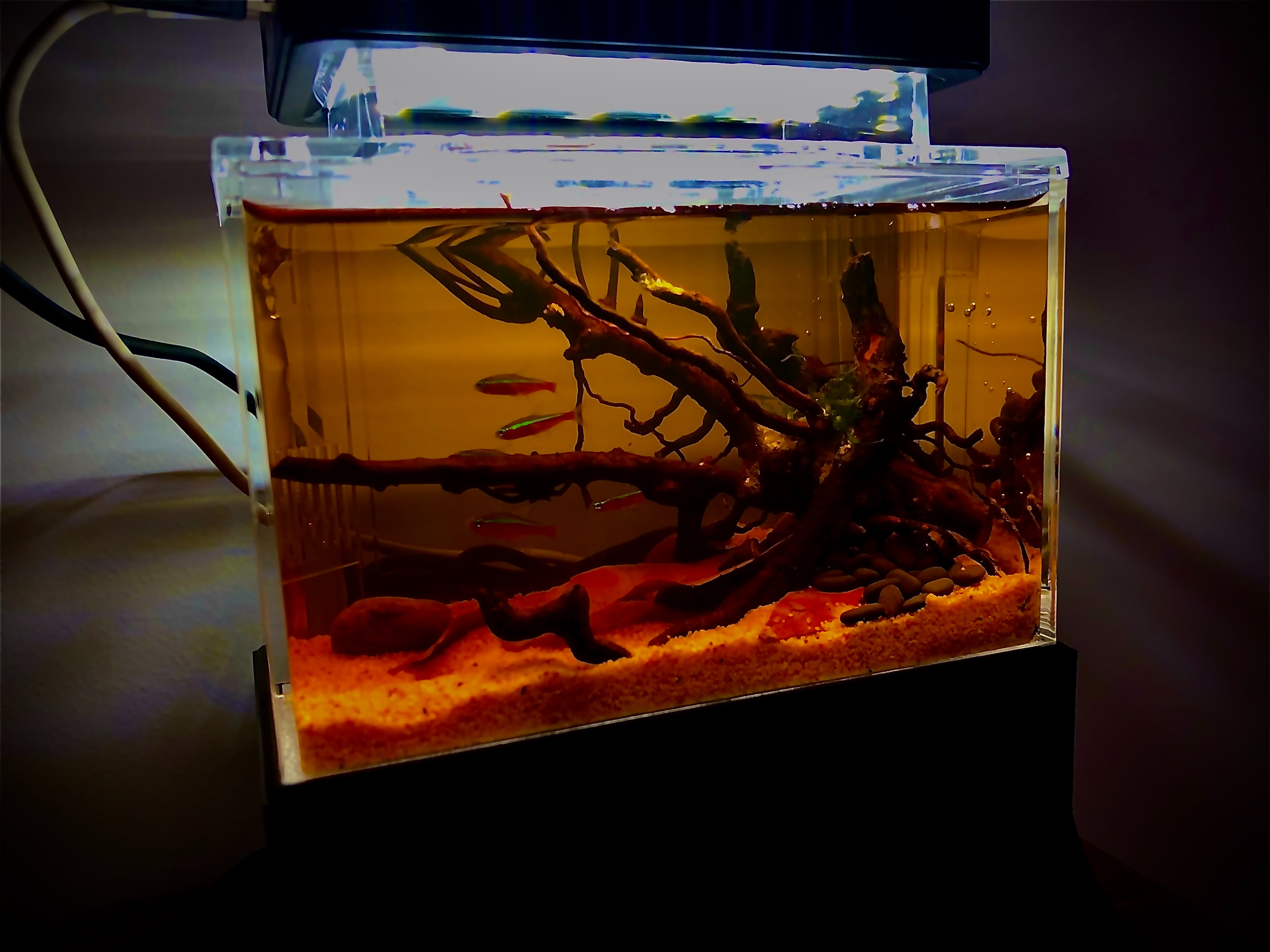 How to choose the right finished desktop fish tank! - iMedia