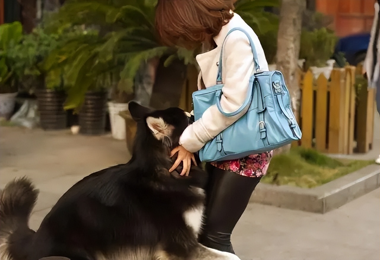 There are actually 7 meanings when a dog hugs your thigh, maybe you don ...