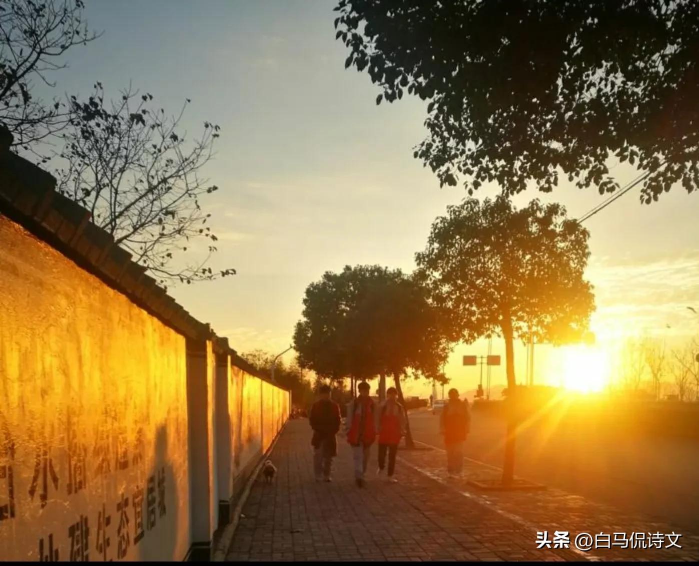 Yu Xiuhua: Tingfeng understands Feng Tingyu pities Yu, and thus pity ...
