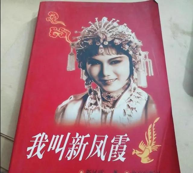 Analyzing the late life experience of outstanding artists, Xin Fengxia ...