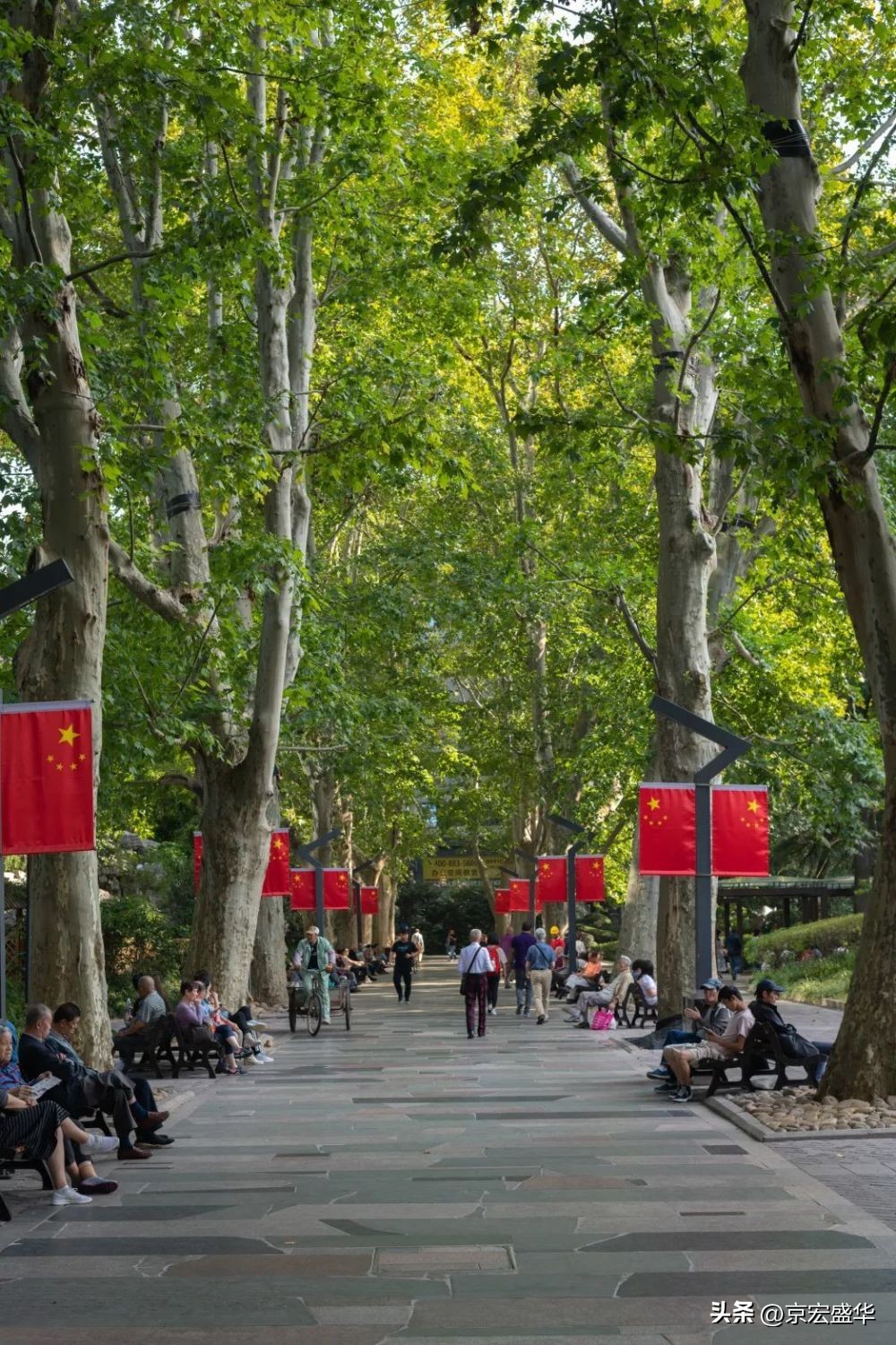 The legendary Jing'an Park - iNEWS