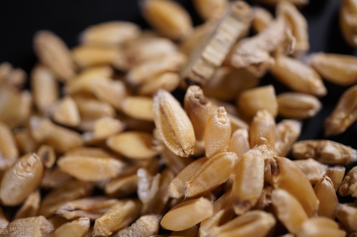 Floating wheat (solid surface antiperspirant) - iNEWS