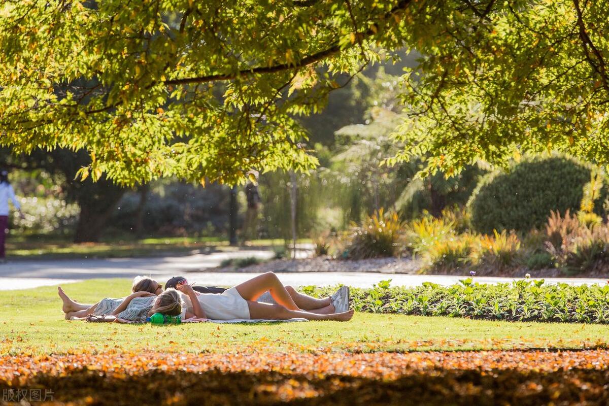 "Lie flat travel" - a relaxing travel mode - iNEWS