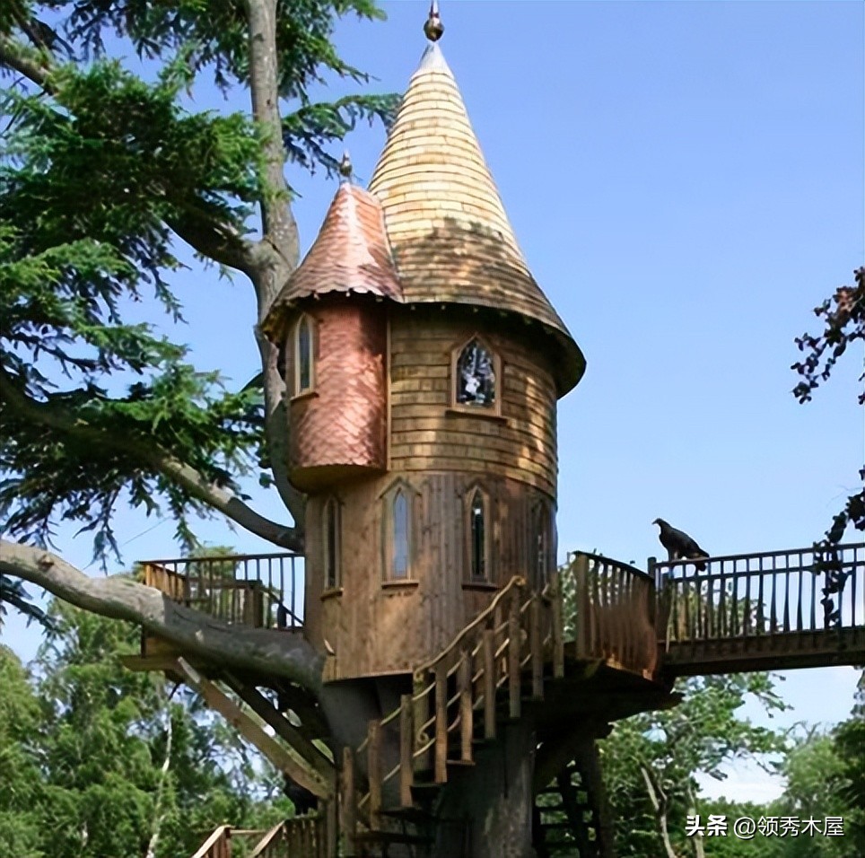 How to design a tree house? - iNEWS