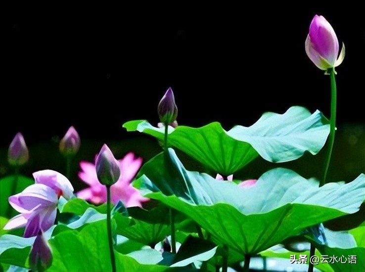 A poem chanting things by Li Shangyin, which is popular and simple ...