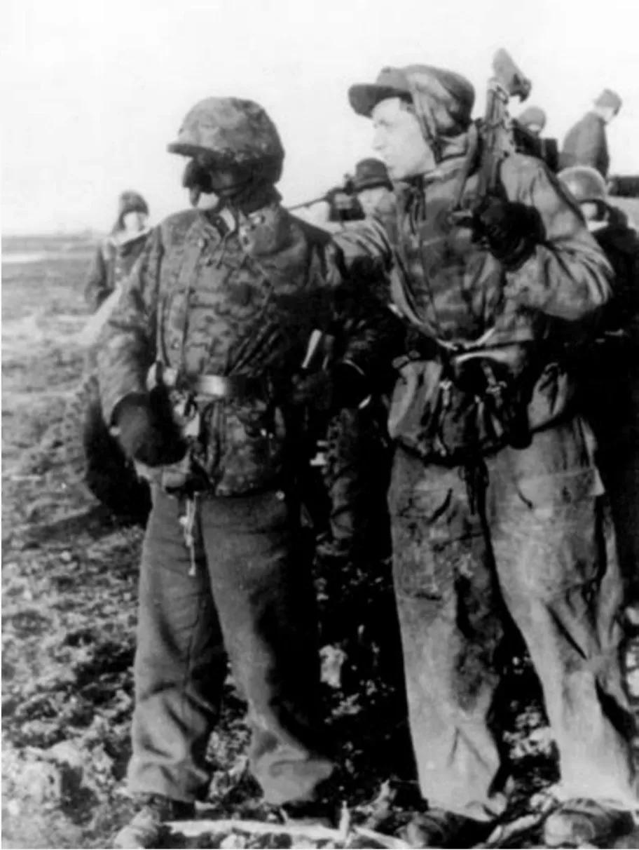 The Battle of Lake Balaton: The Last German Counterattack of WWII!Not ...