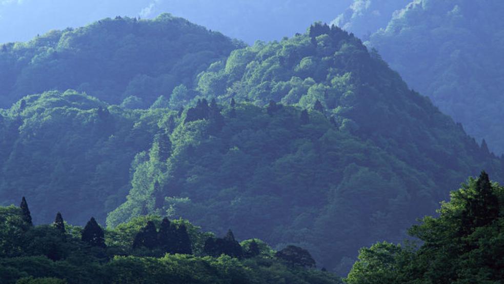 What impact did Zhuang Yu's entry into Yunnan have on the unification ...