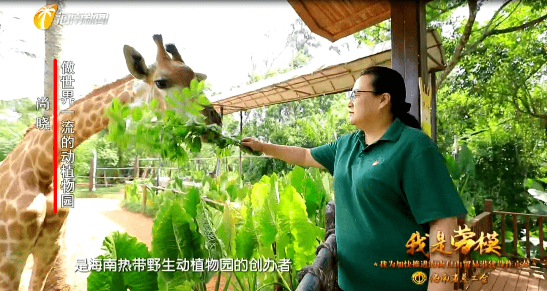 Keep the interactive memory with Haikou Xiaohuzai, it is growing up ...