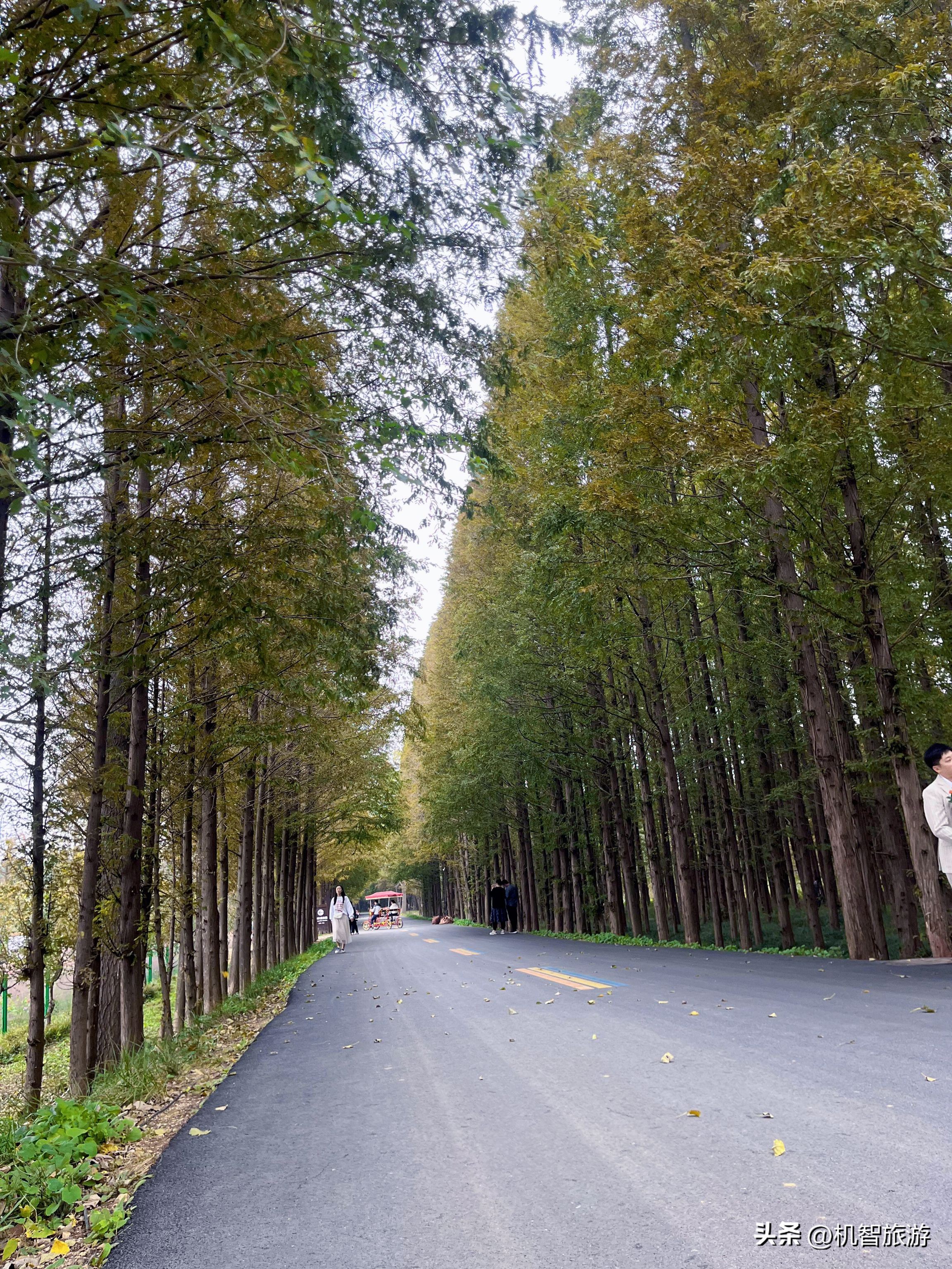 Rizhao travel strategy, this summer, have a promise with Rizhao - iMedia