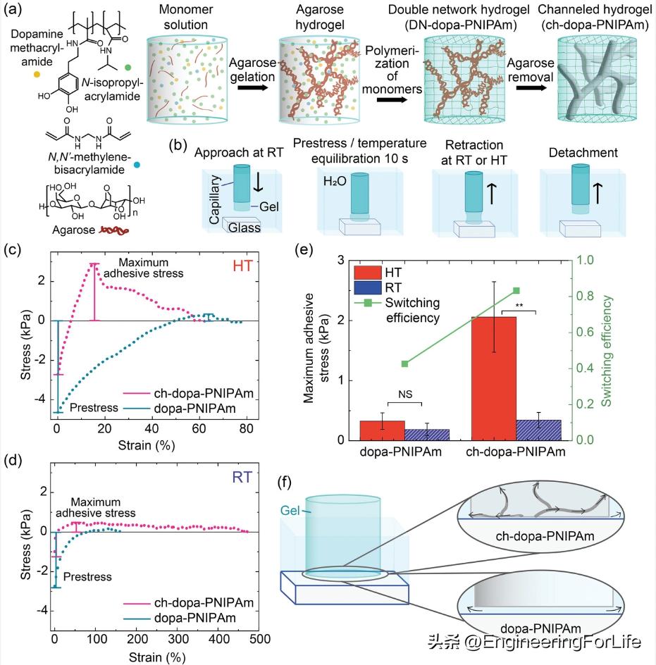 "AFM》: Efficient and switchable underwater adhesion channelized ...