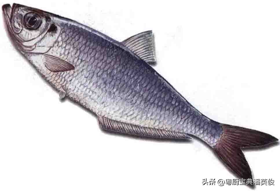 Discussion on Recipes: Chapter 7 of "Secret Recipes", Explaining the ...