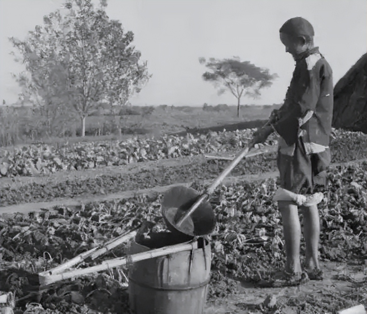 How much did Mao Zedong attach to the Chinese working class? - iNEWS