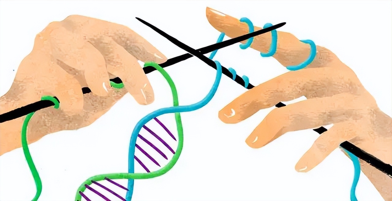 Humans can already synthesize the simplest life - iMedia