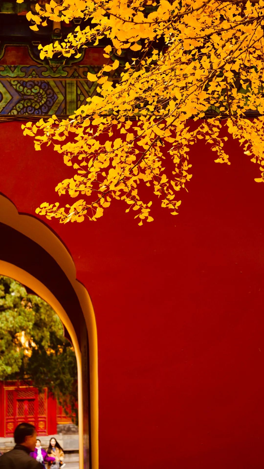 13 sets of pictures tell you how beautiful the autumn in Beijing is!How ...