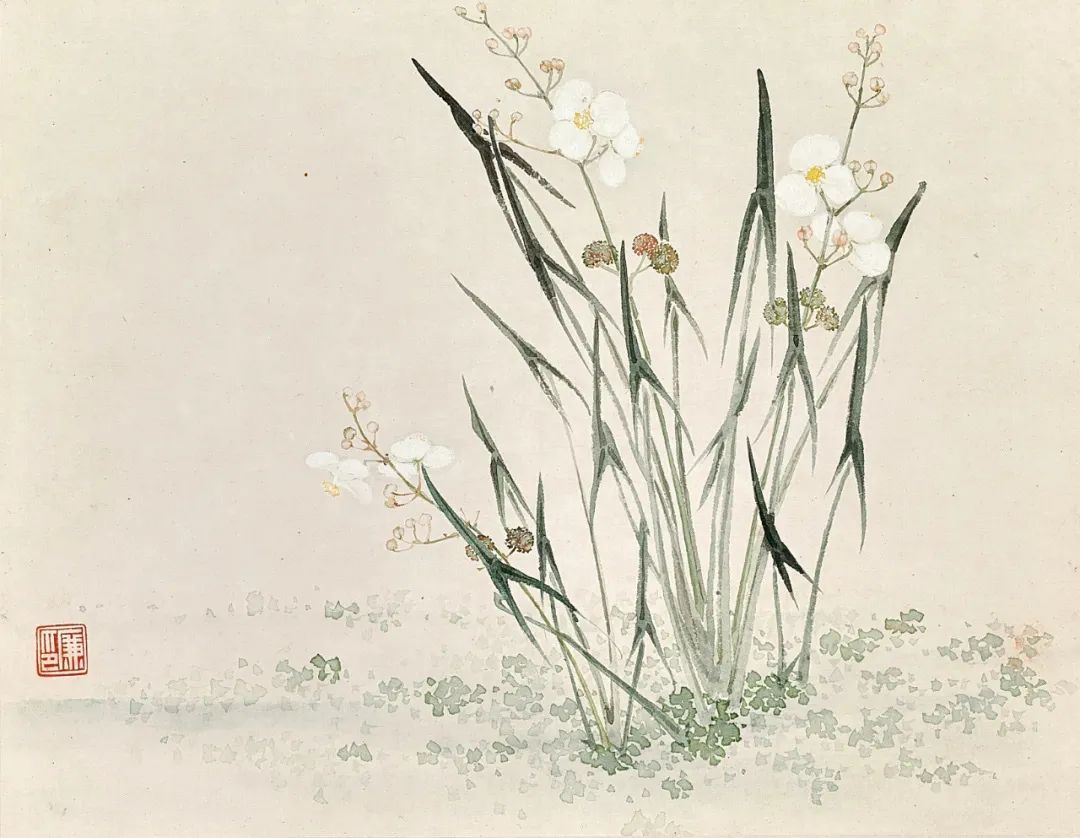 Ju Lian"Qing Yi Du Dust Book" - iNEWS