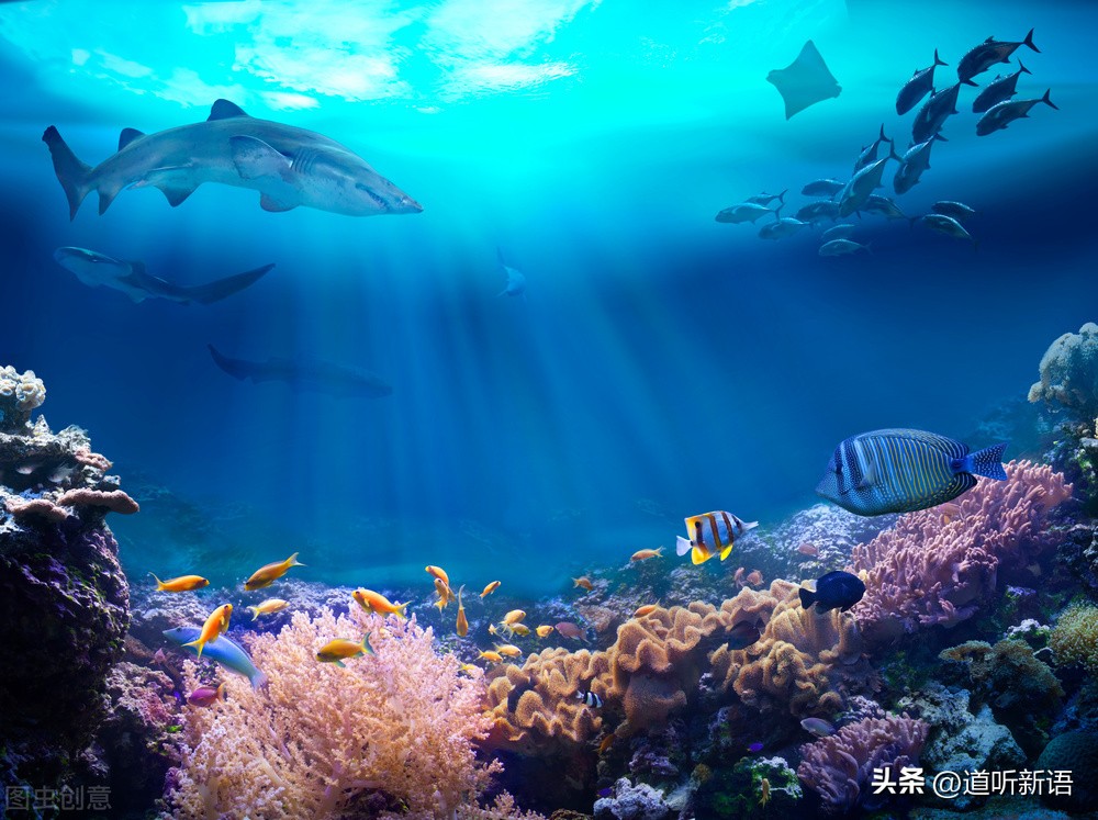 Can the concept of phase transition predict complex ecosystems? - iNEWS