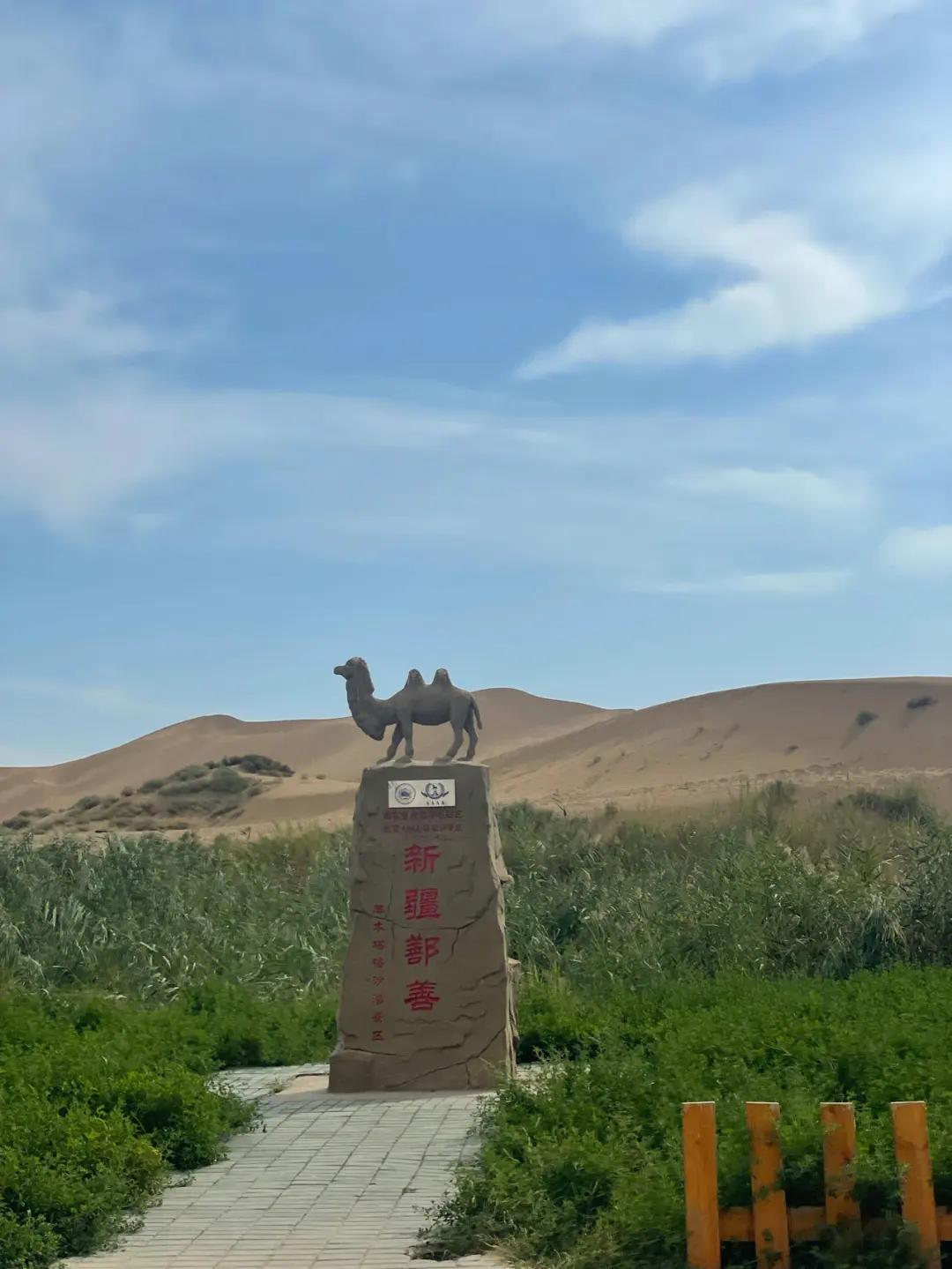 Shanshan Litigation System in the 3rd and 4th Centuries A.D. - iMedia