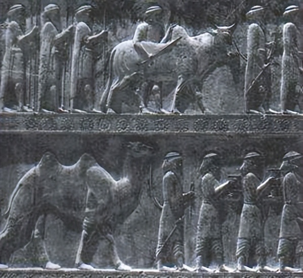 Akkadian contributions to Sumerian culture - iMedia