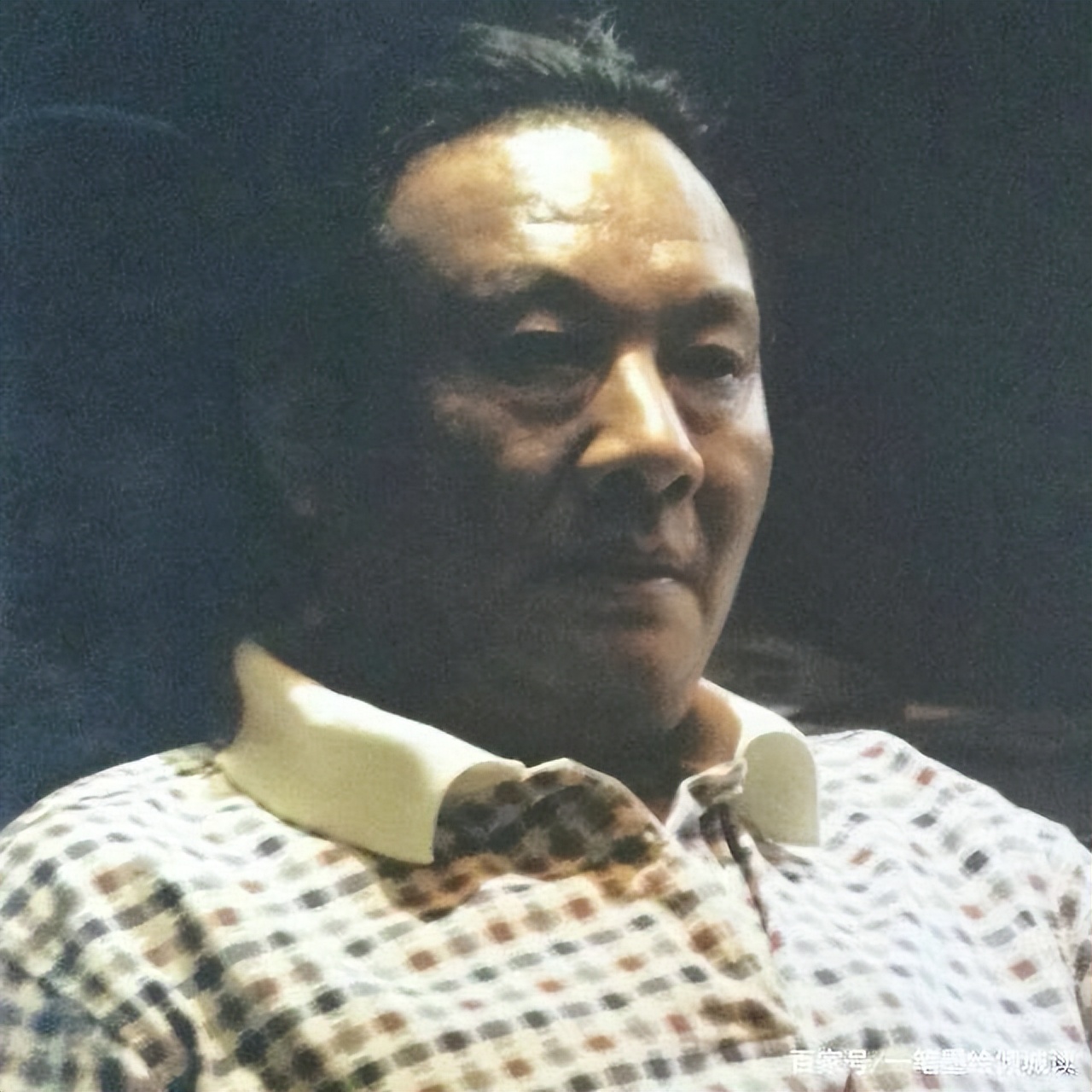 Ink and wash mighty—Appreciation and analysis of painter Pan Yong's ...