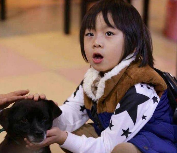 The changes of Lin Zhiying's son Kimi before and after growing up. He ...