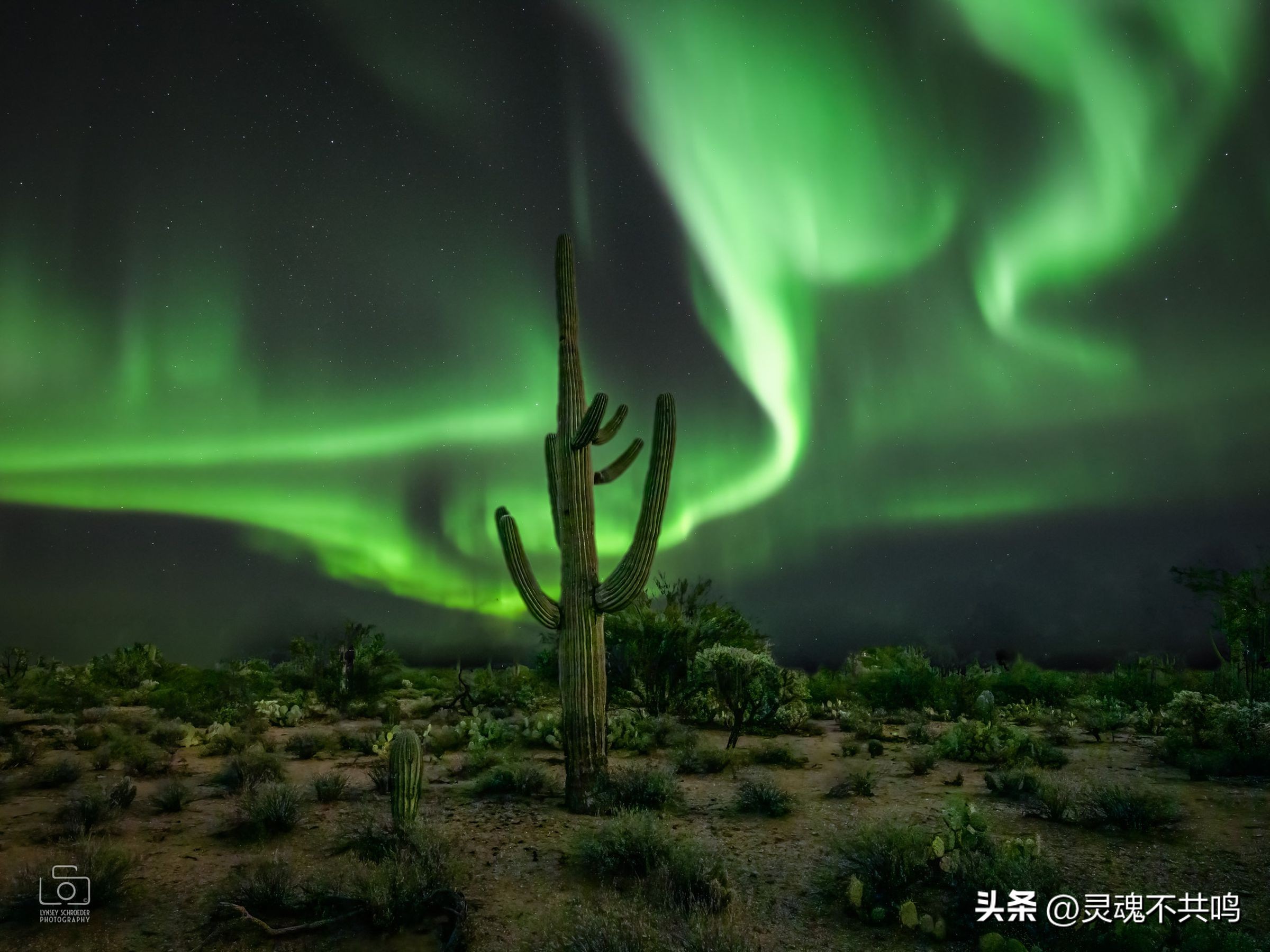 Is the night sky fake? We've Been Fooled By Night Sky Photos For Years ...