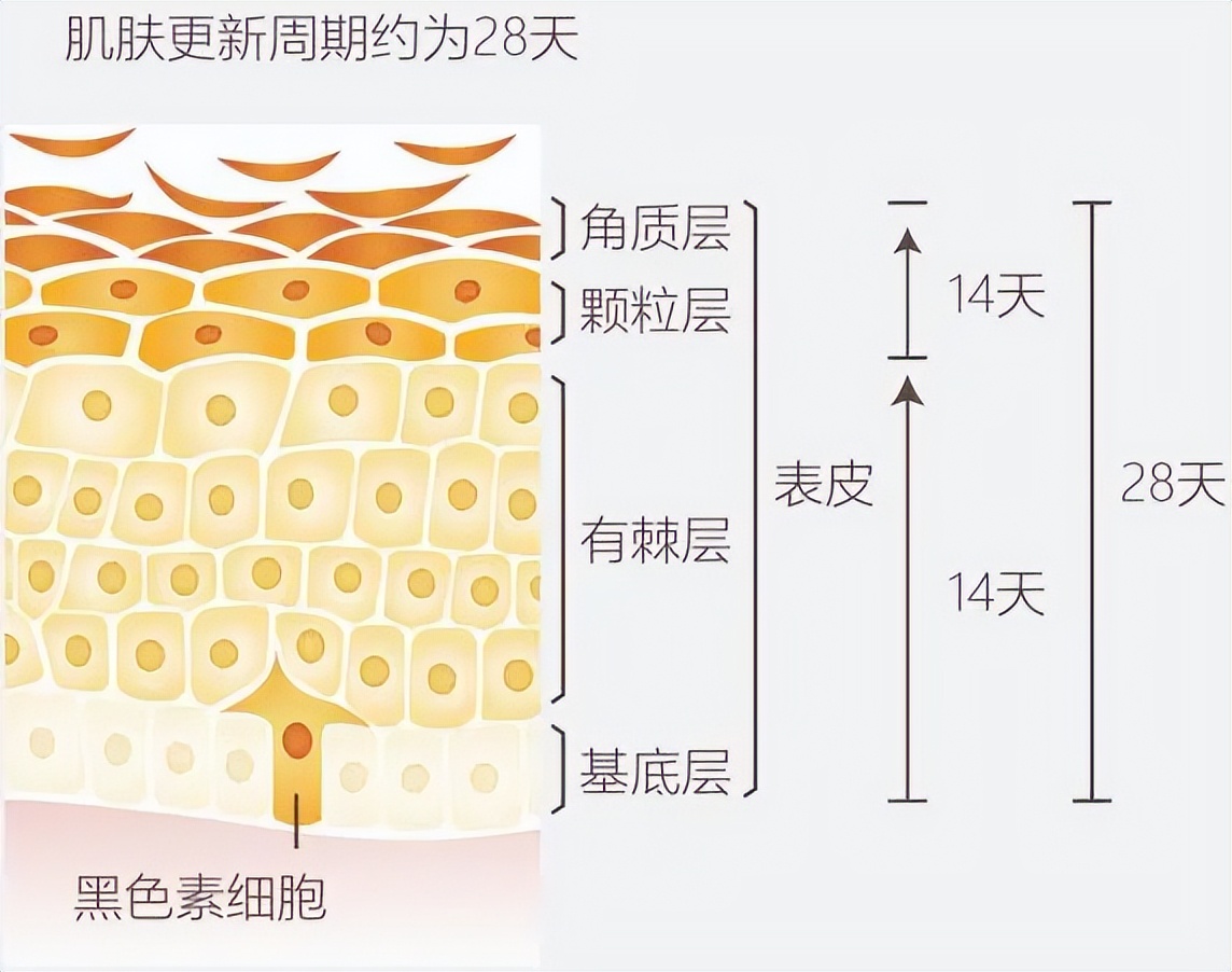 A special session on acne scars and acne pits, explaining all the ...