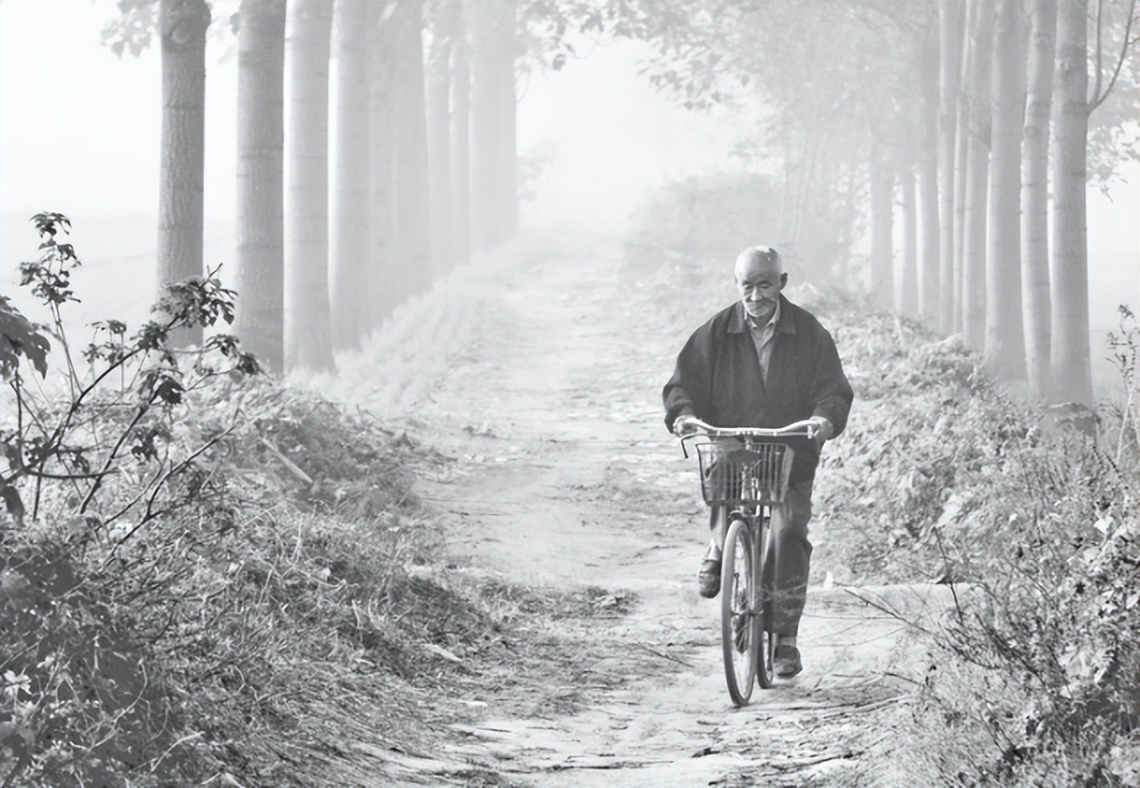 Chen Biao, an academician of the Chinese Academy of Sciences, suddenly ...