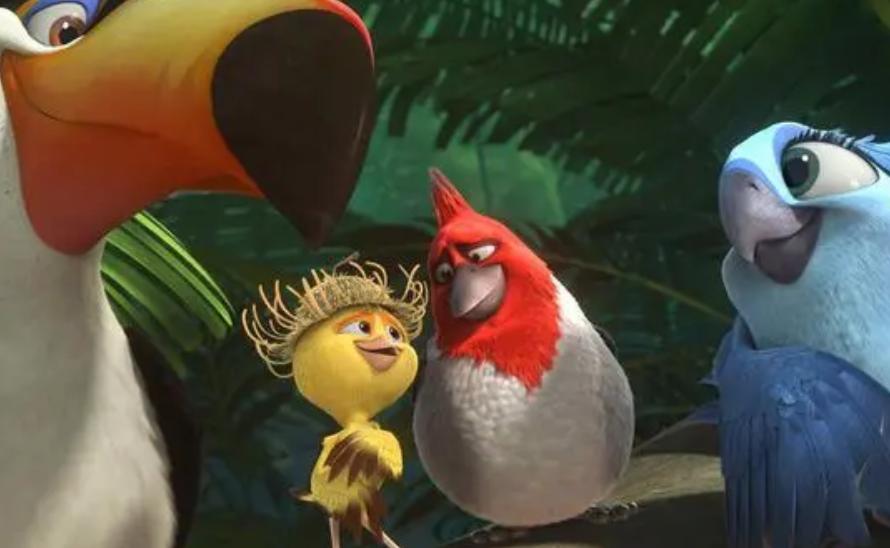 "Rio Adventure": Feel the South American Style - iNEWS