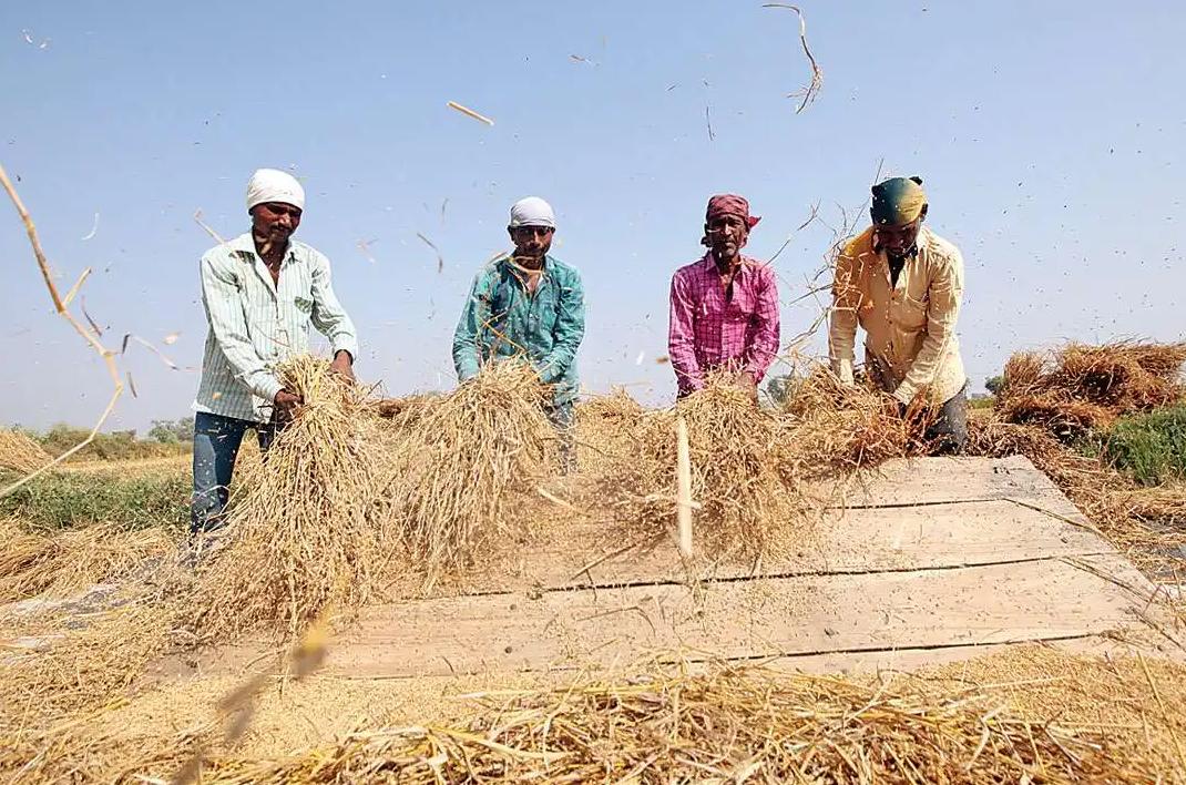 China is hoarding grain right, India suddenly banned wheat exports, G7 ...