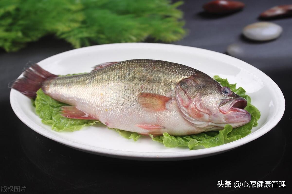 The five most nutritious fish, don't be fooled by fish sellers - iNEWS