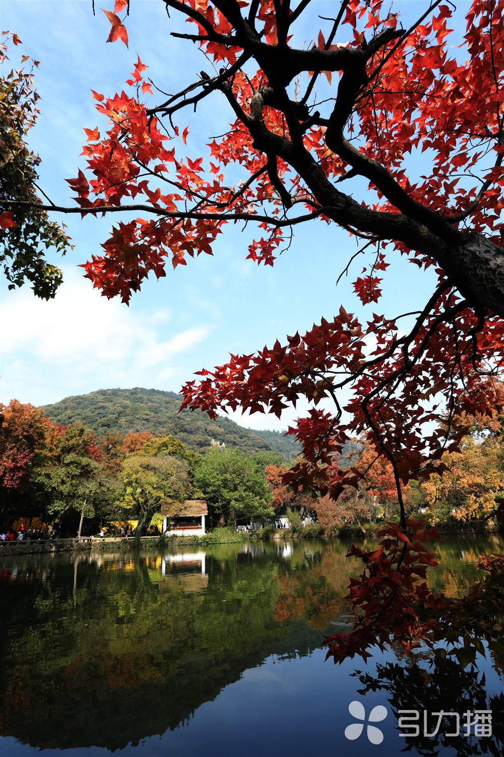 Appreciating red maples in Tianping Mountain, you should pay attention ...