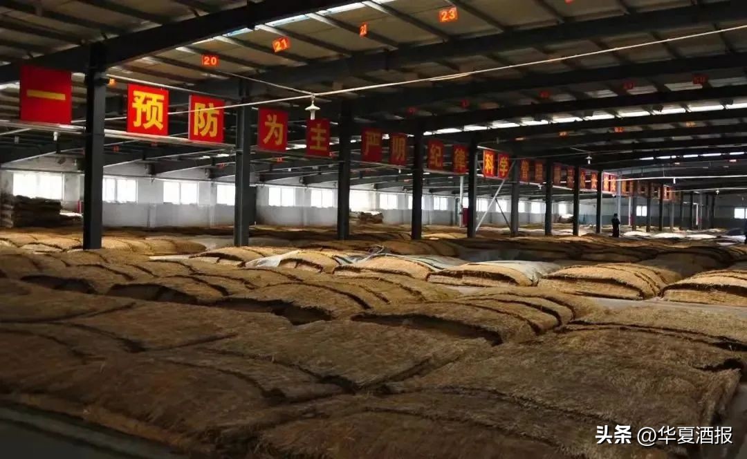 It is said that Lujiu "is full of hills", but they all live a good life, how did they do it? - iNEWS