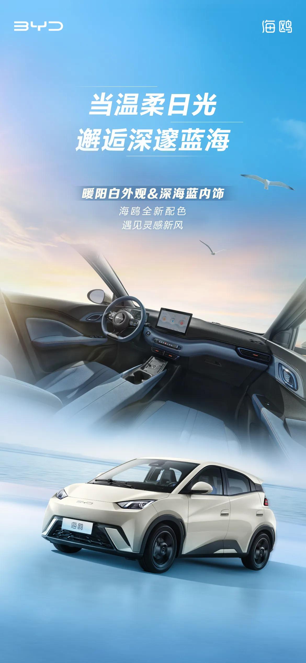 Seagull's new color scheme is here, get it quickly! - iNEWS