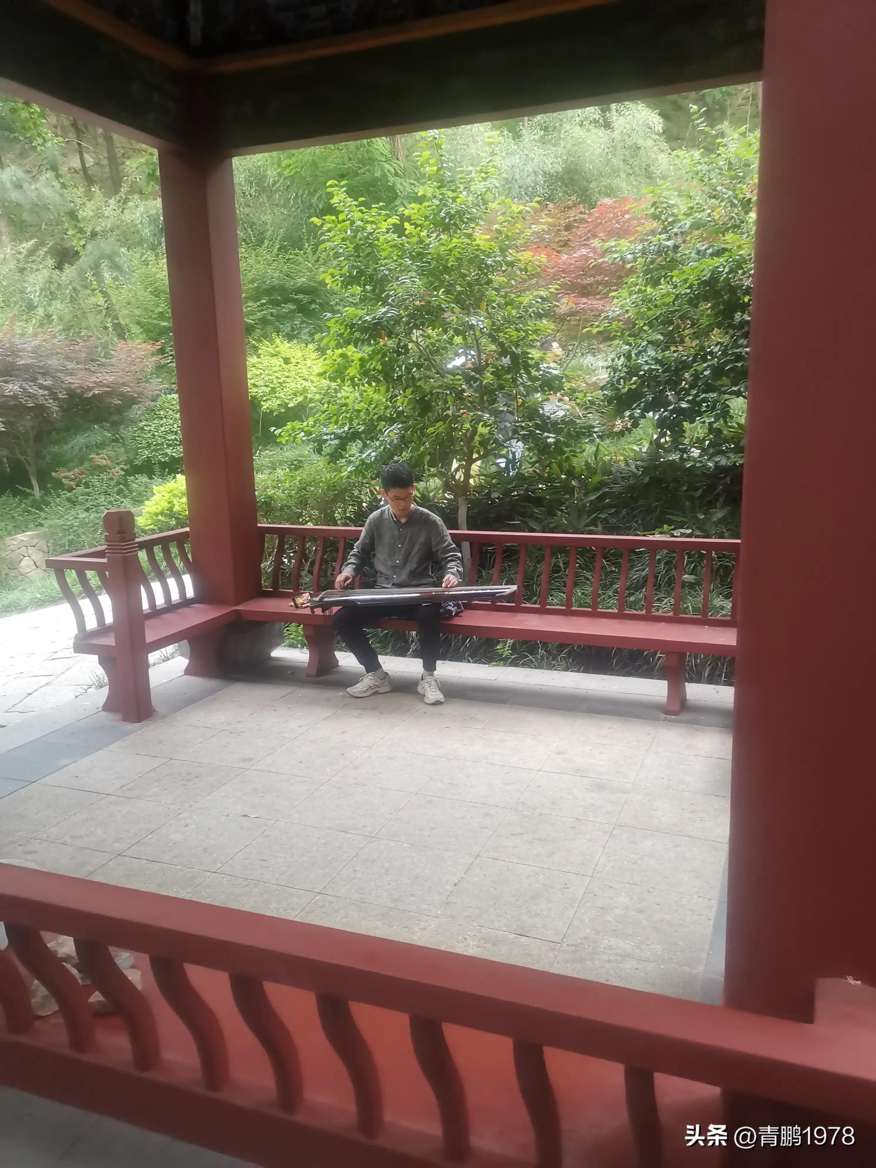 "Qin Yin"Where to find a confidant - iNEWS