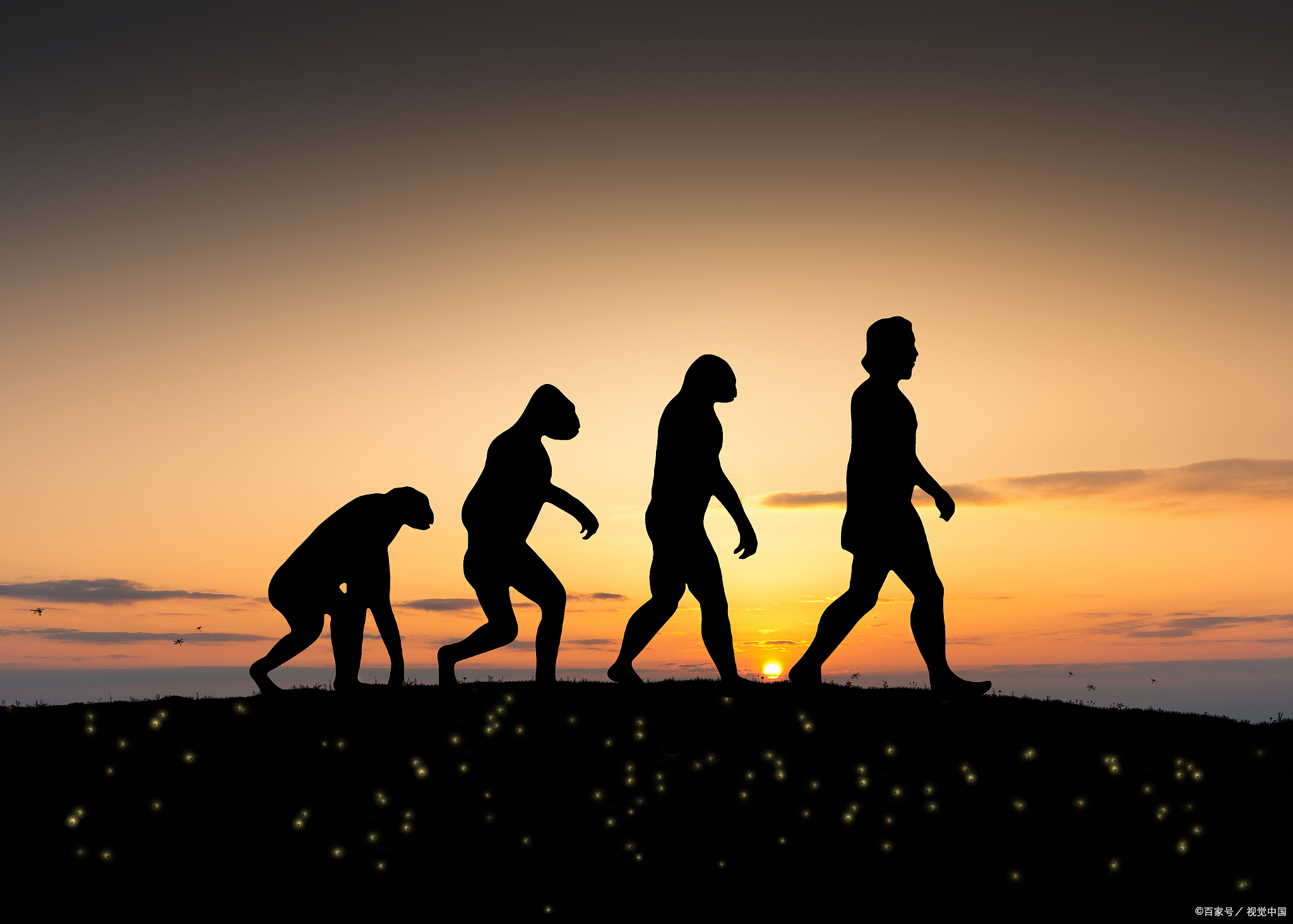 the origin of man. Did it really evolve from the ancient ape? - iNEWS